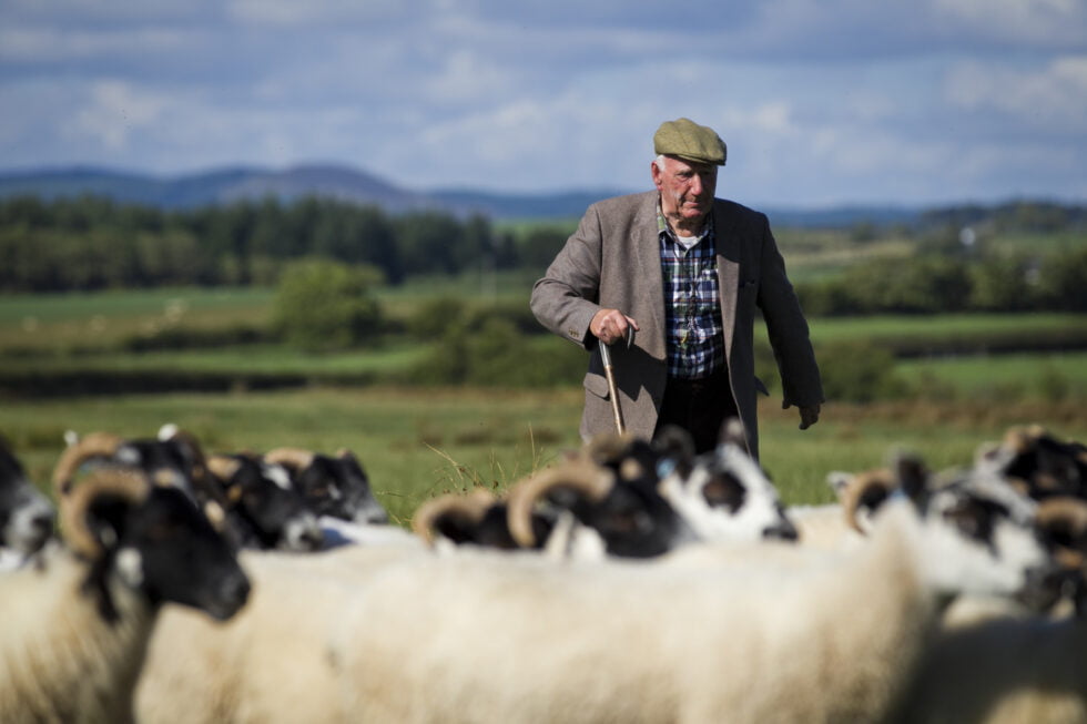 Pastors Are Elders? | Dundalk's First Baptist Church